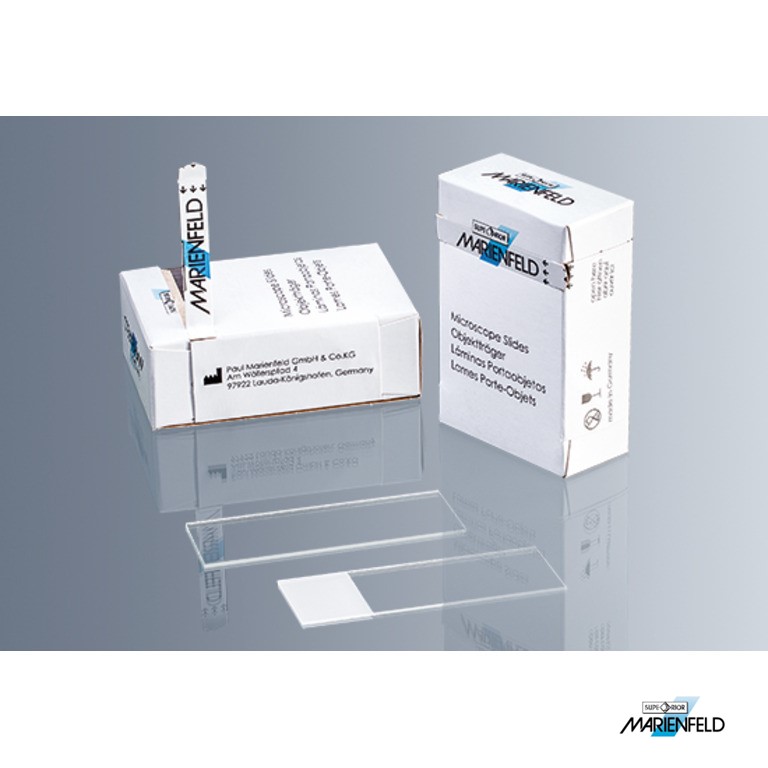 Marienfeld - Microscope Slides, Thickness Approx. 1 mm (Plain & Frosted ...